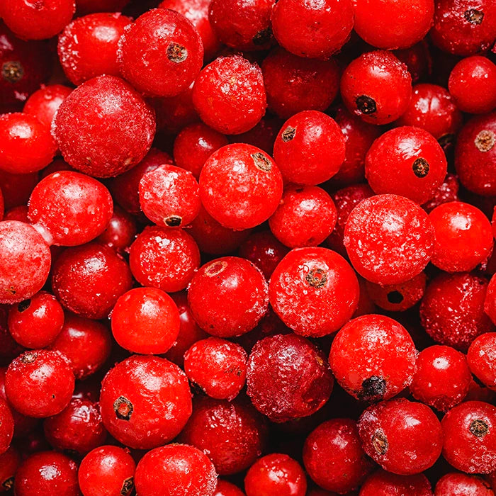 Integratore di Cranberry, tutte le proprietà – Dietaesport